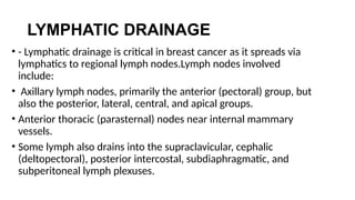 Anatomy of mammary gland presentation by Dr Ela kinra | PPTX