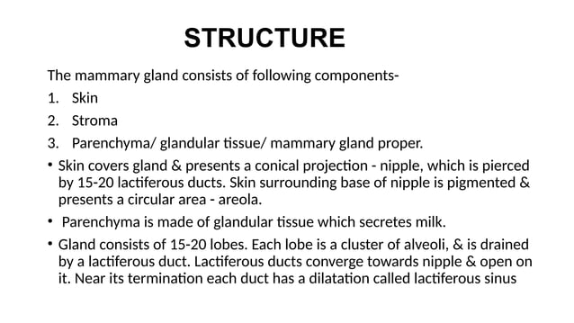 Anatomy of mammary gland presentation by Dr Ela kinra | PPT