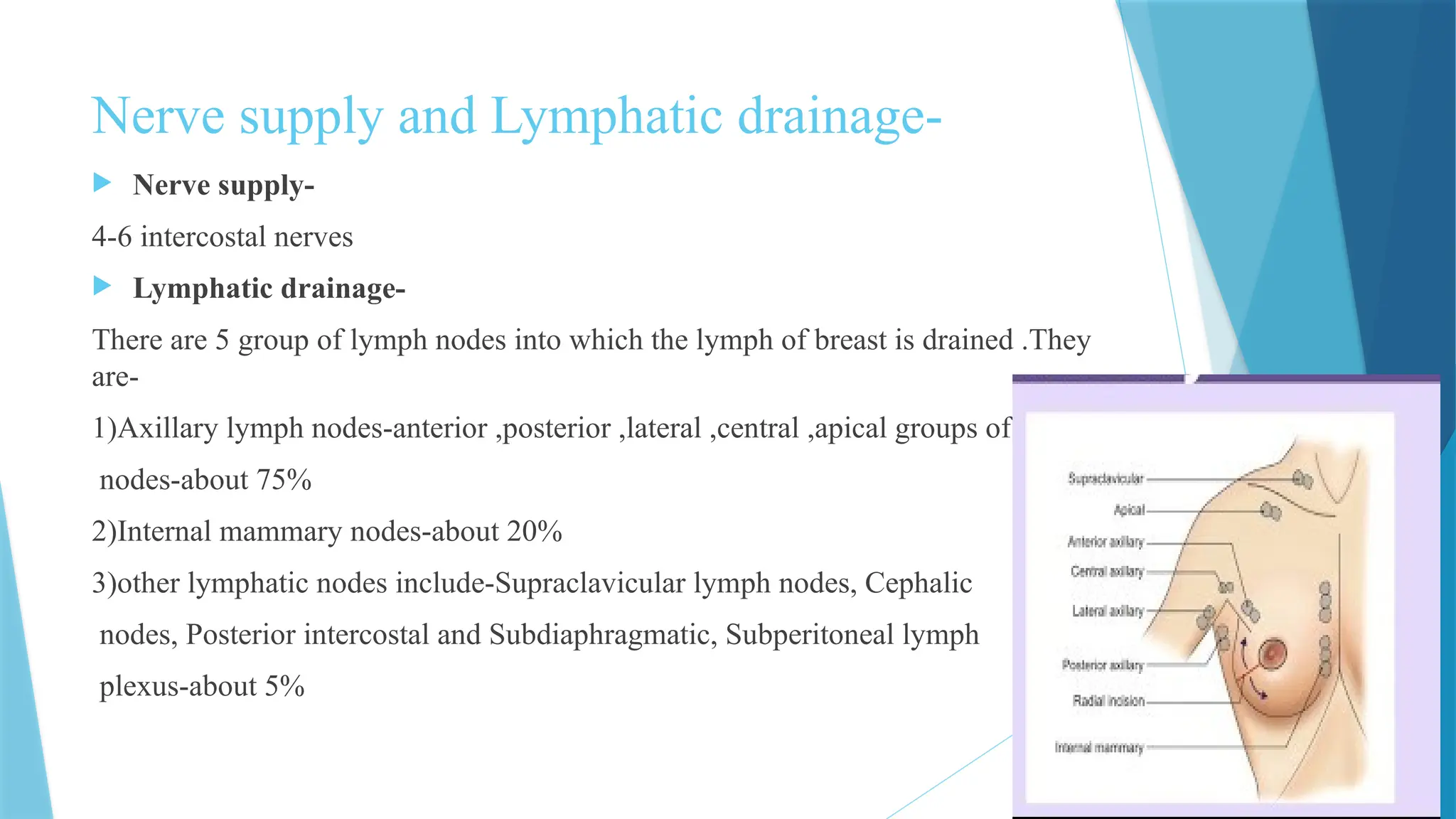 ANATOMY OF MAMMARY GLAND WITH CLINICAL ANATOMY | PPTX