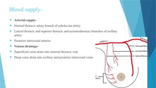 ANATOMY OF MAMMARY GLAND WITH CLINICAL ANATOMY | PPTX
