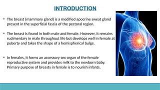 MAMMARY GLAND anatomy introduction.pptx