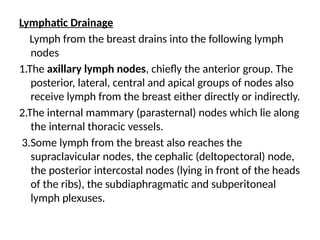 Mammary glands anatomy of mammary glands | PPTX