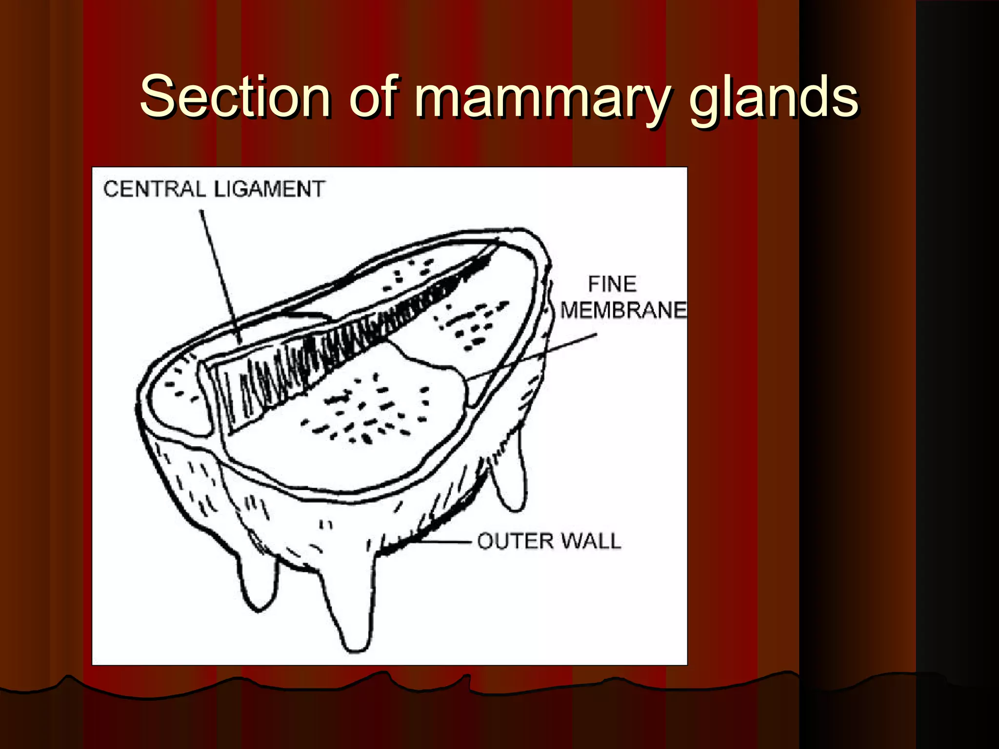 Mammary glands power point by Dr. Rekha Pathak senior scientist IVRI | PPT