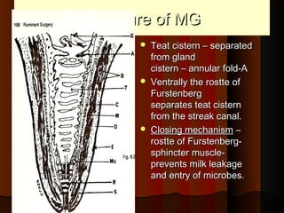 Mammary glands power point by Dr. Rekha Pathak senior scientist IVRI | PPT