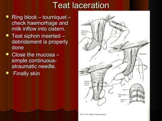 Mammary glands power point by Dr. Rekha Pathak senior scientist IVRI | PPT