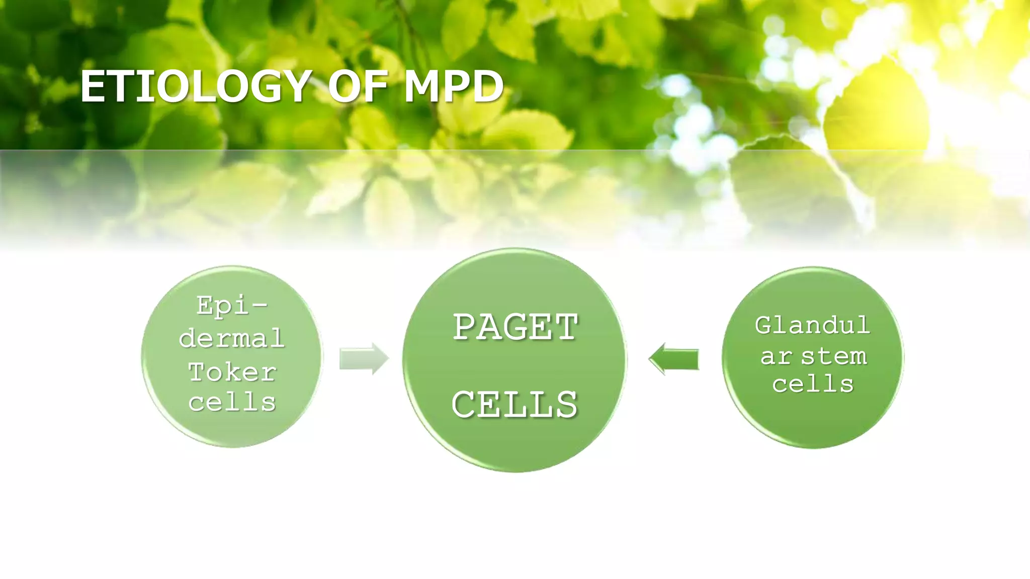 Mammary Paget Disease (MPD) & Extramammary Paget disease (EMPD) | PPTX