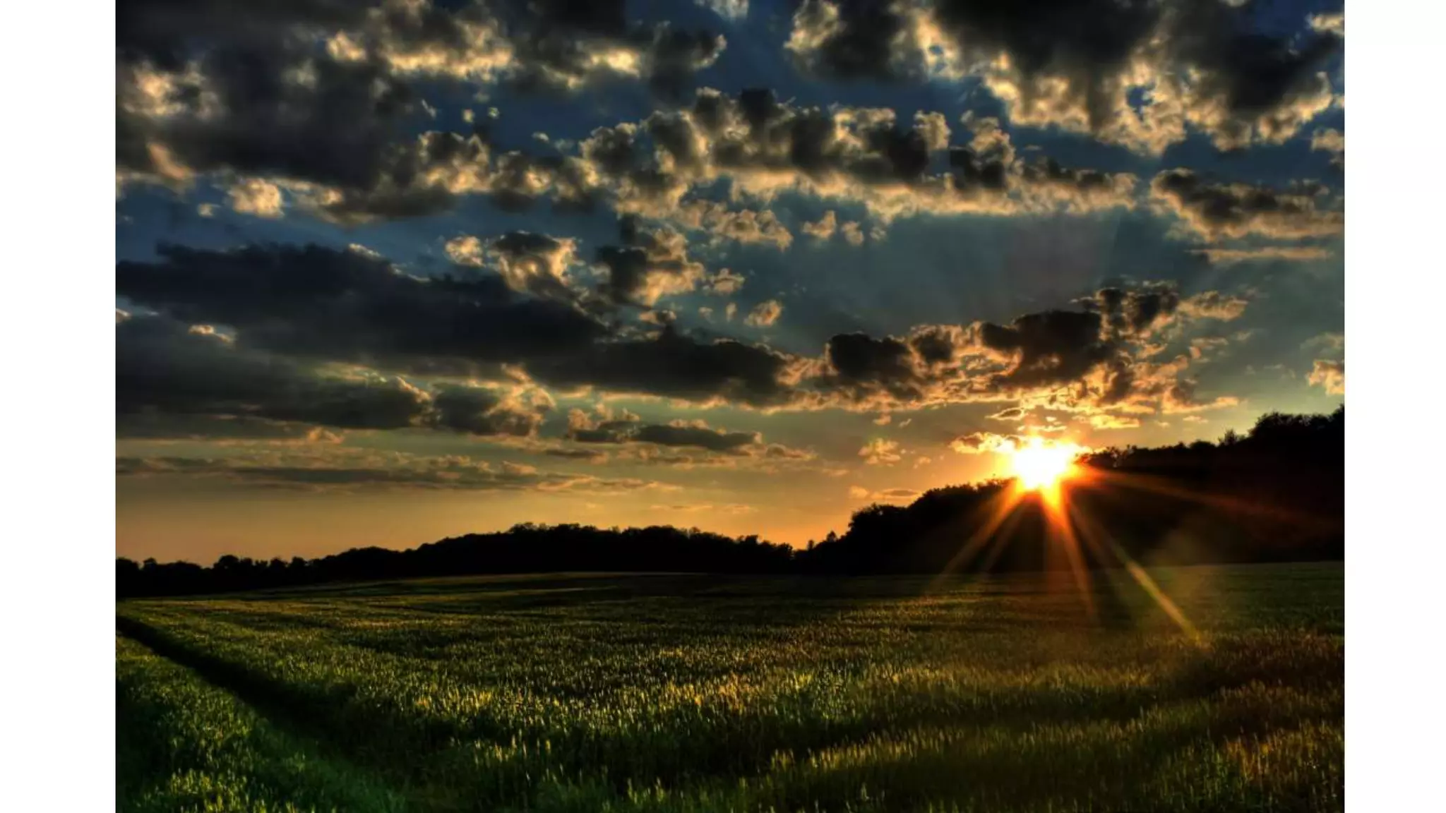 Mammary Paget Disease (MPD) & Extramammary Paget disease (EMPD) | PPTX