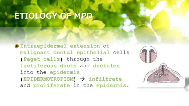 Mammary Paget Disease (MPD) & Extramammary Paget disease (EMPD) | PPTX