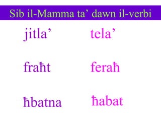 Il-mamma tal-verb u l-għerq | PPT