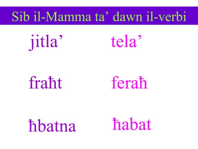 Il-mamma tal-verb u l-għerq | PPT