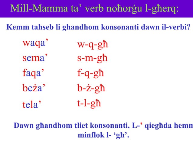 Il-mamma tal-verb u l-għerq | PPT