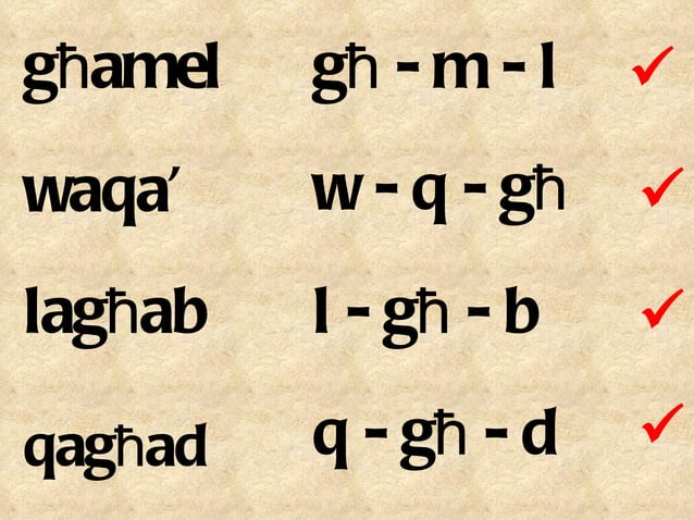 Il-Mamma u l-Għerq | PPT