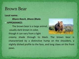 Mammmals of pakistan | PPTX