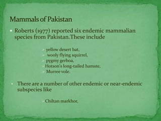 Mammmals of pakistan | PPTX