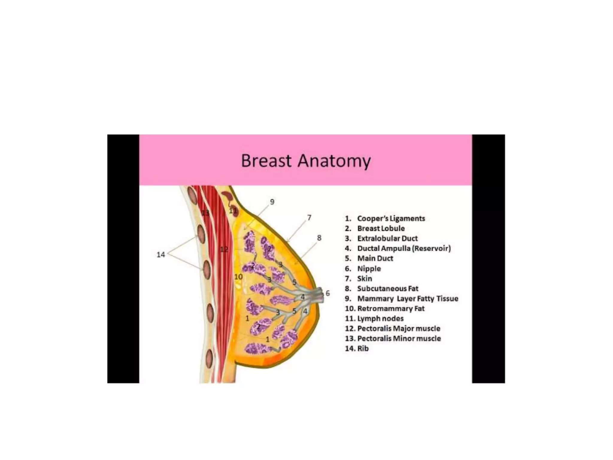 Breast mammography and tomosynthesis | PPTX