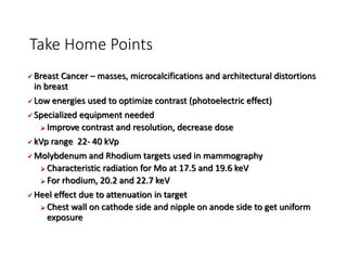 Mammography.pdf
