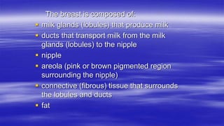 mammography.pptx