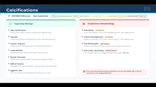 Comprehensive Overview of BI-RADS 6th Edition (2025) Updates and ...