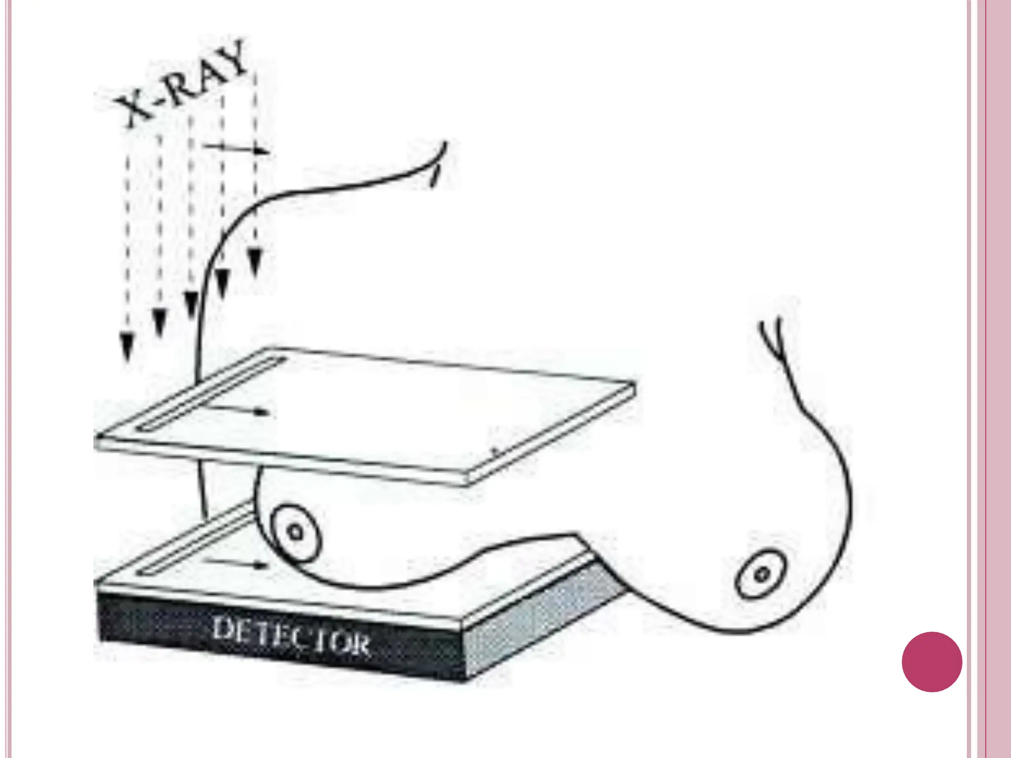 Mammography-Physics-and-Technique-PDF.pdf