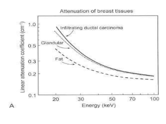 Mammography-Physics-and-Technique-PDF.pdf