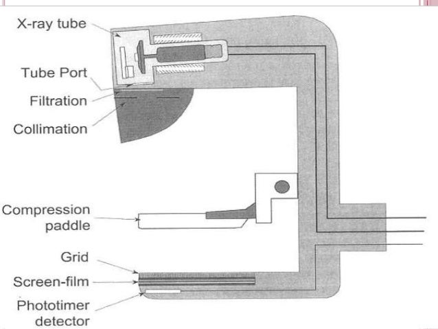 Mammography physics and technique