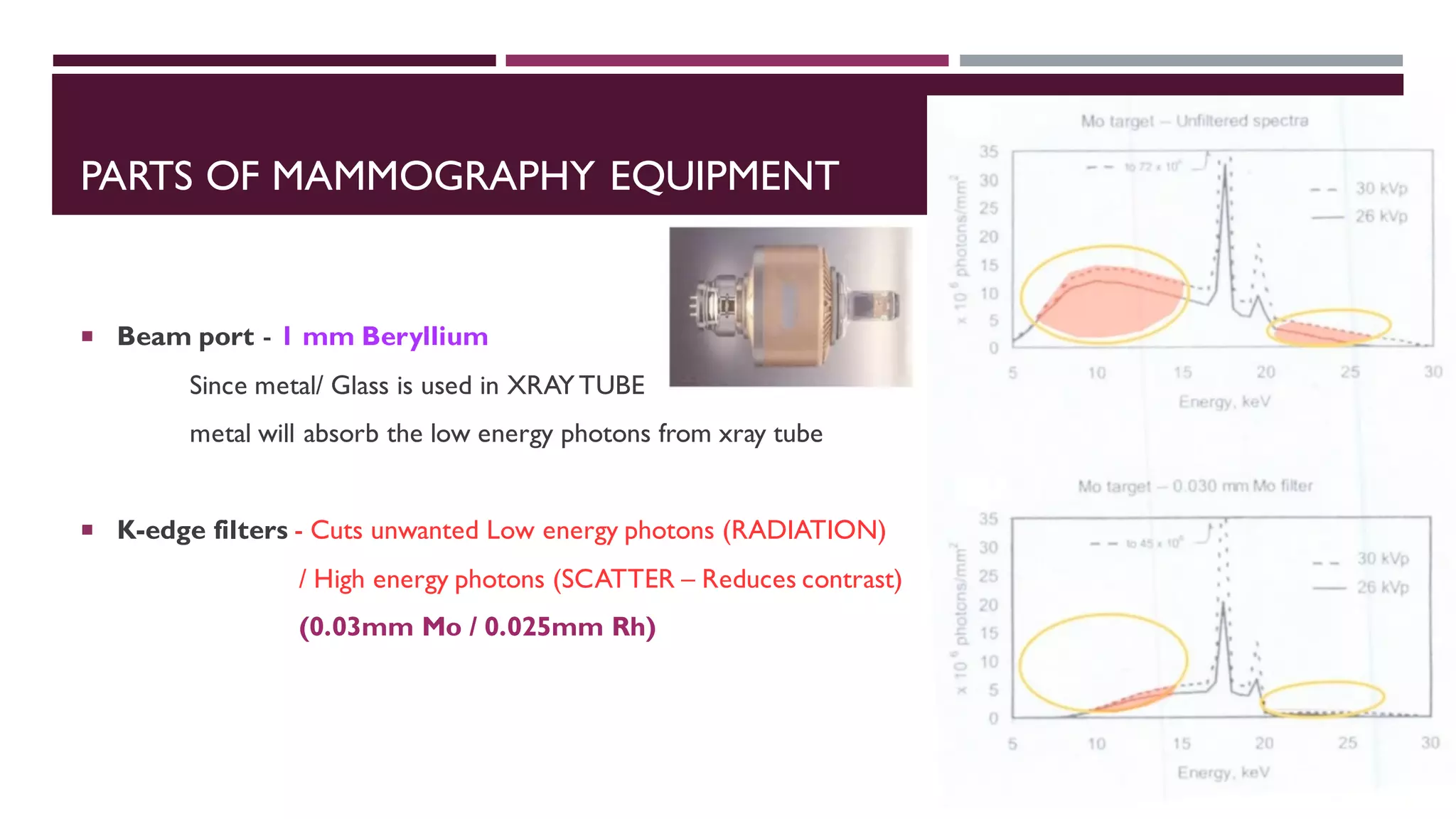 Mammography | PDF