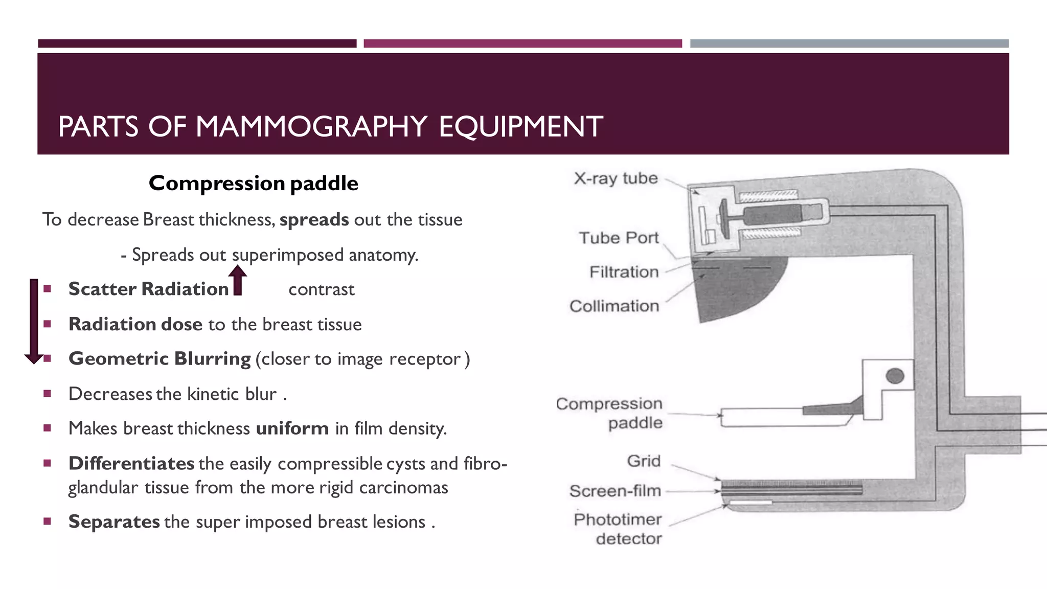 Mammography | PDF