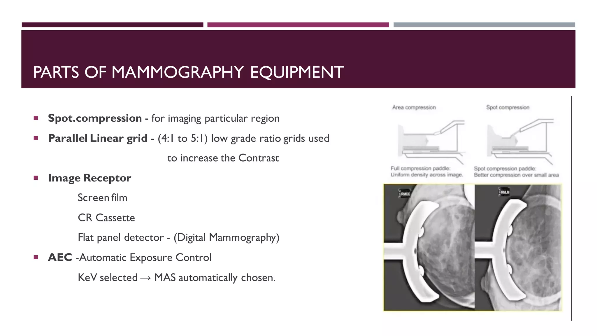 Mammography | PDF