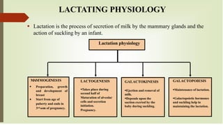 MAMMOGRAPHY VIEWS .ppt