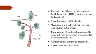 MAMMOGRAPHY VIEWS .ppt