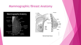 Mammography positioning technique for Lateral Views (LM/ML) | PPTX
