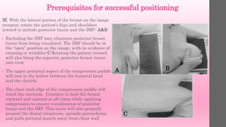 Mammography positioning technique for MLO View | PPTX