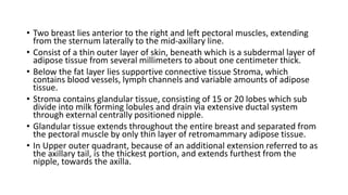 Mammography | PPTX