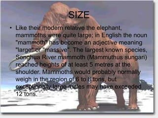 Mammoth | PPT