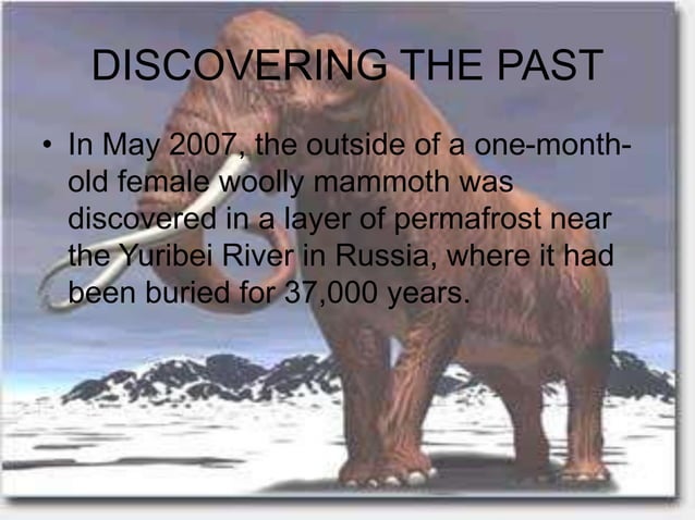 Mammoth | PPT