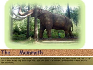 Mammoths by Loren | PPTX