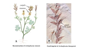Mam notes figure | PPTX