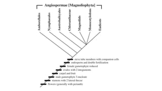 Mam notes figure | PPTX
