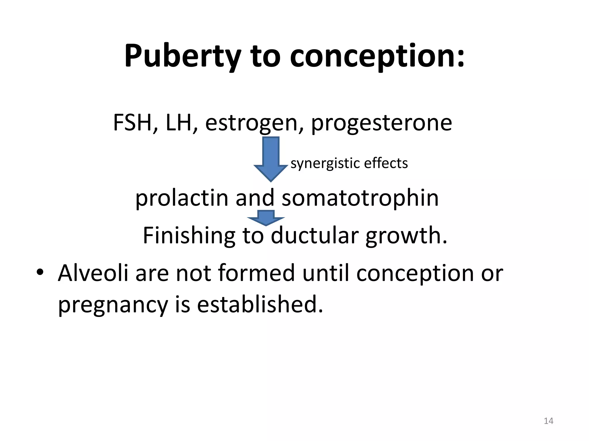 Mamogenesis sir fiaz | PPTX