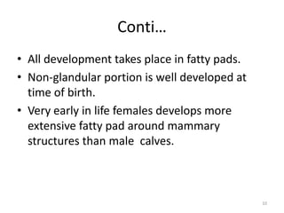 Mamogenesis sir fiaz | PPTX