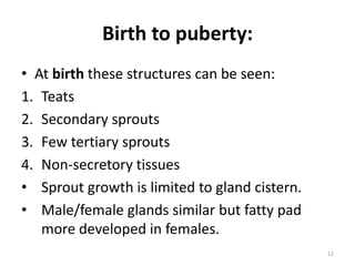Mamogenesis sir fiaz | PPTX