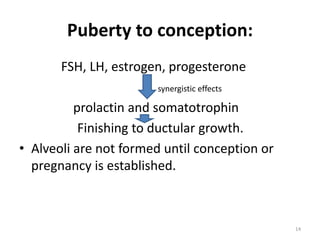 Mamogenesis sir fiaz | PPTX