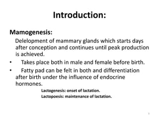 Mamogenesis sir fiaz | PPTX