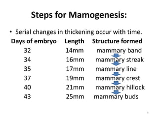 Mamogenesis sir fiaz | PPTX