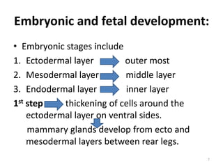 Mamogenesis sir fiaz | PPTX