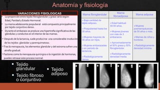 MAMOGRAFIA NORMAL.pptx