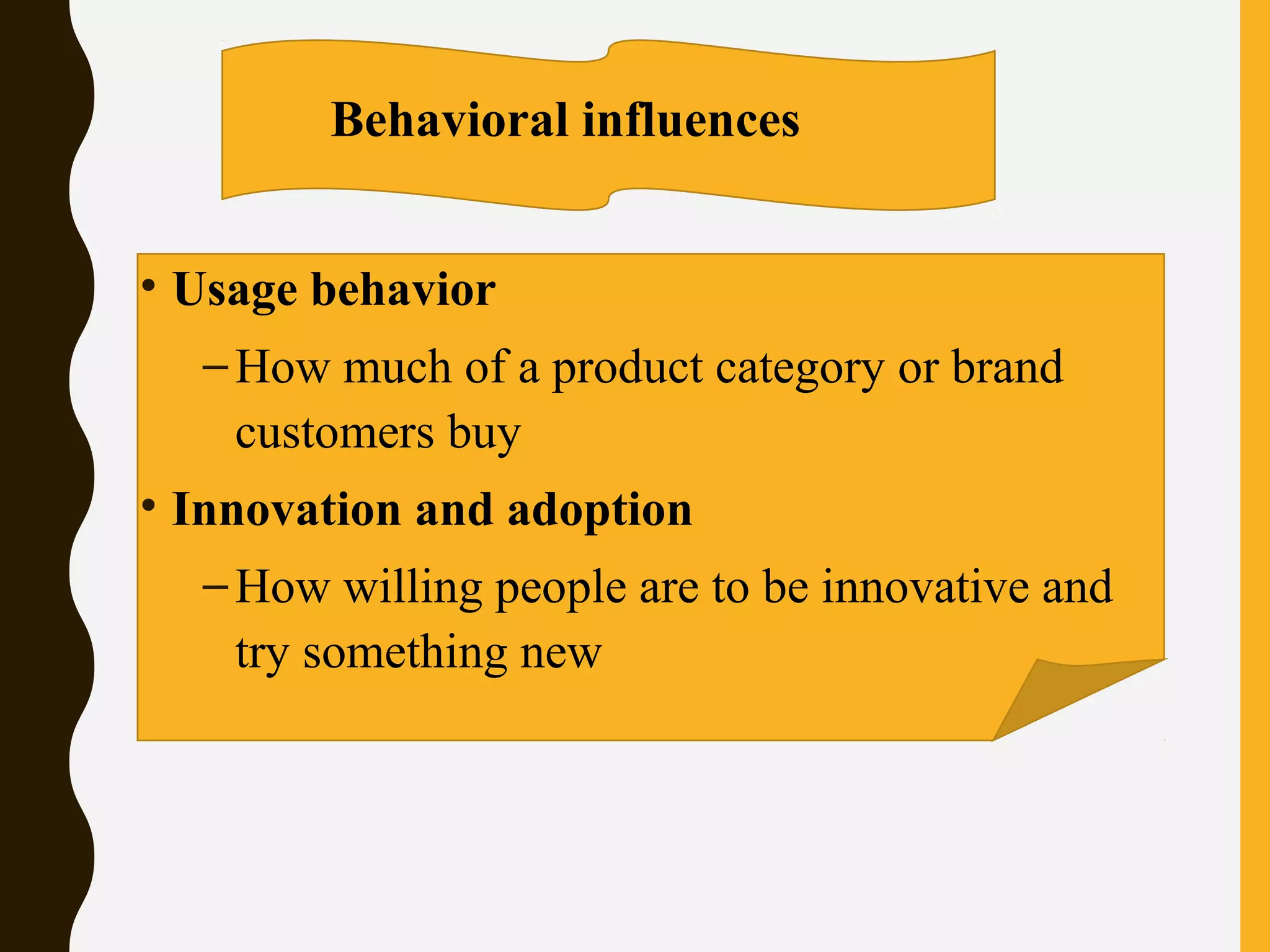 Consumer Audience | PPT