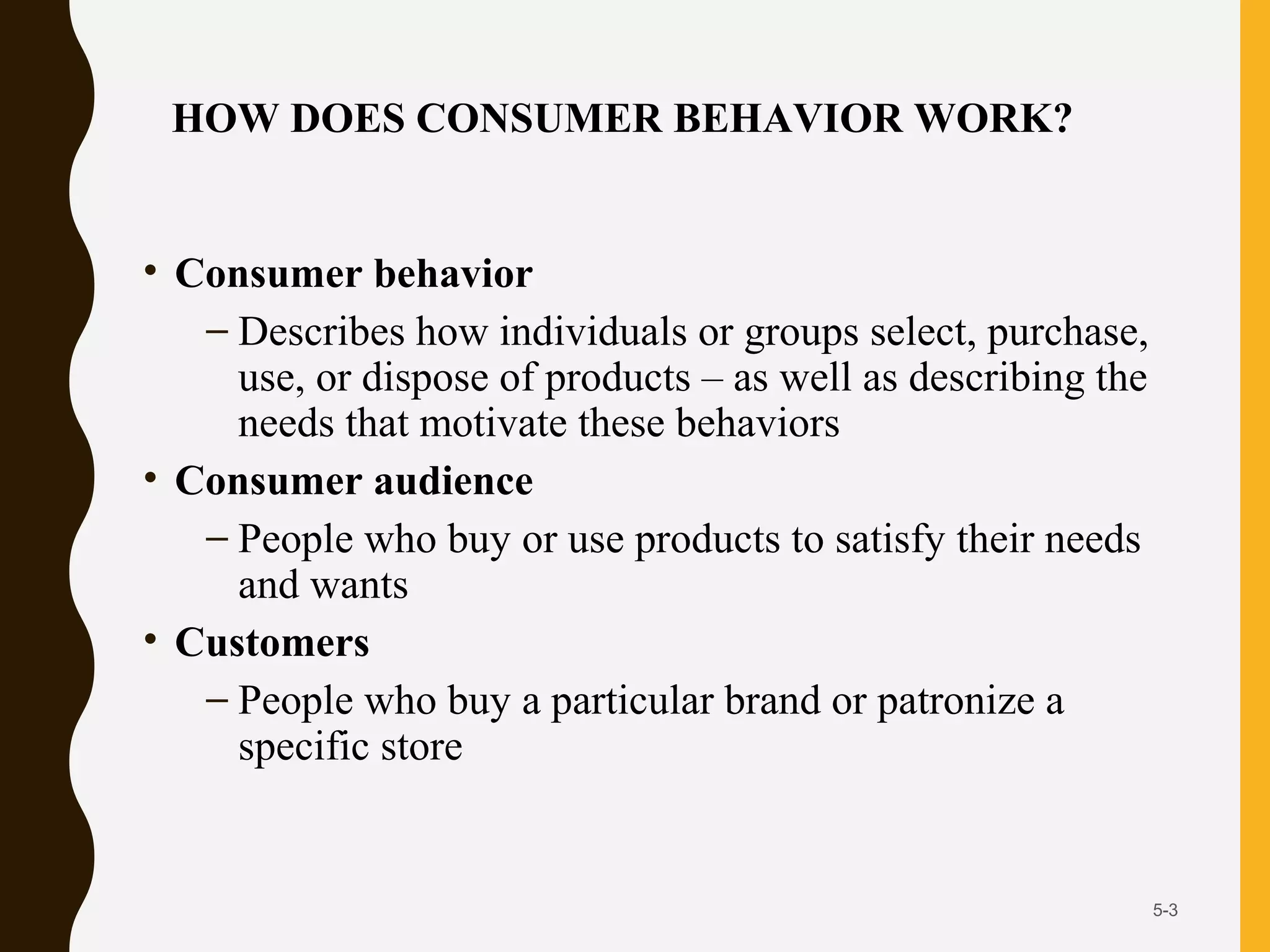 Consumer Audience | PPT