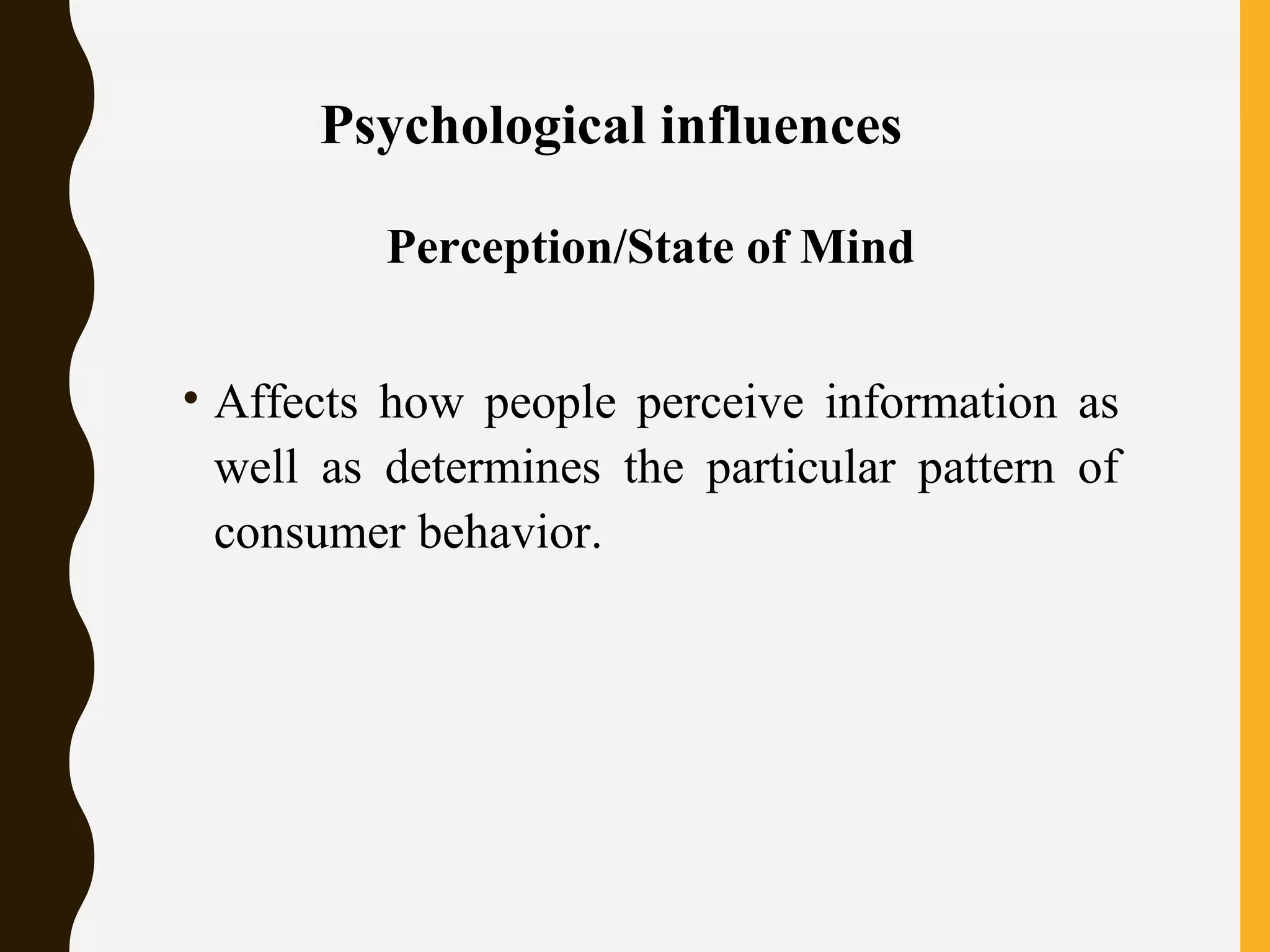 Consumer Audience | PPT