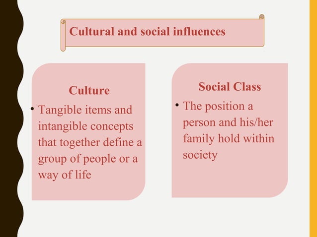 Consumer Audience | PPT